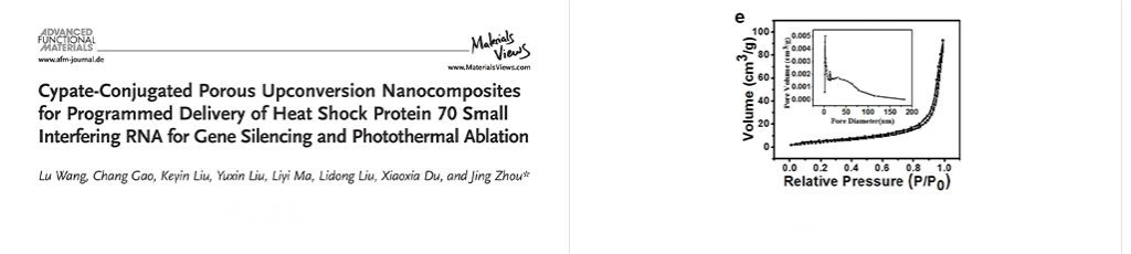 Advanced Specific Surface Area and Micropore Analyzer - BET Surface ...